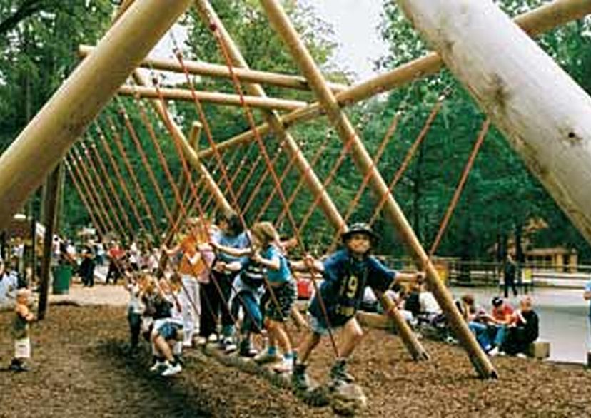 Dragon Swinger - Huck